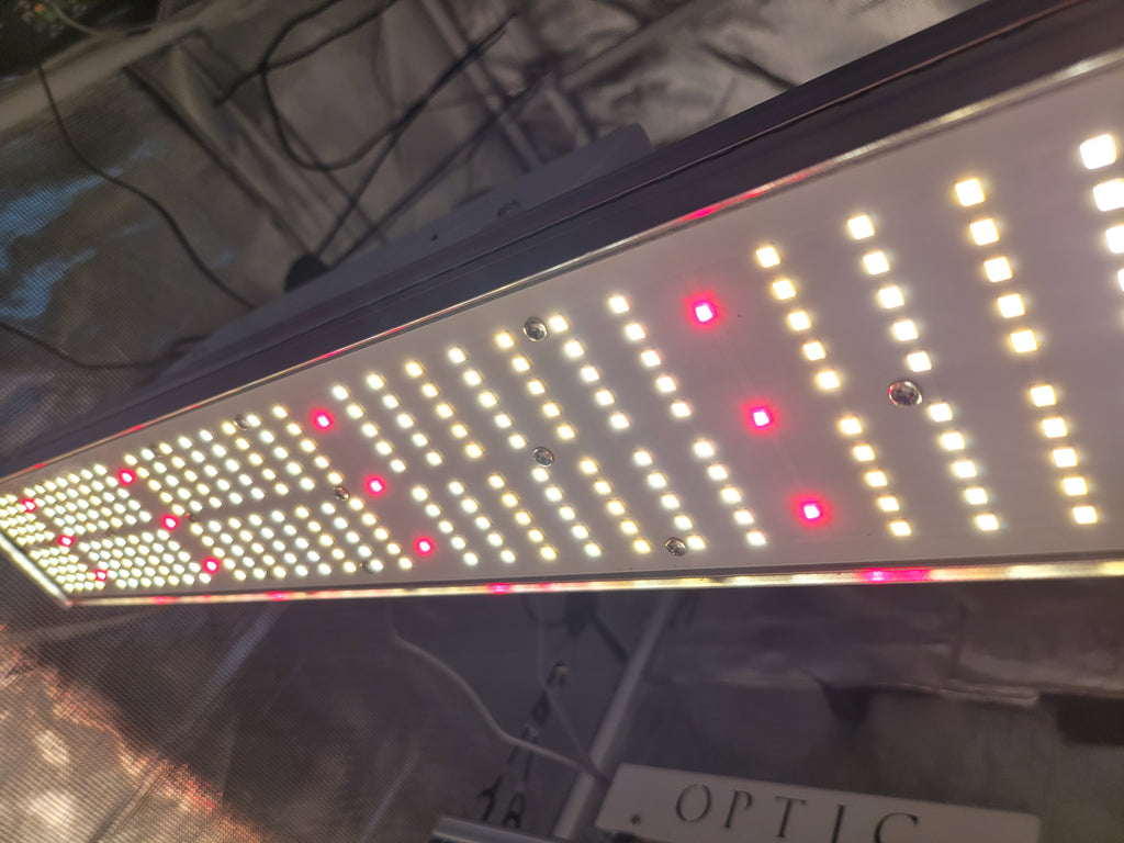 Products — Optic LED